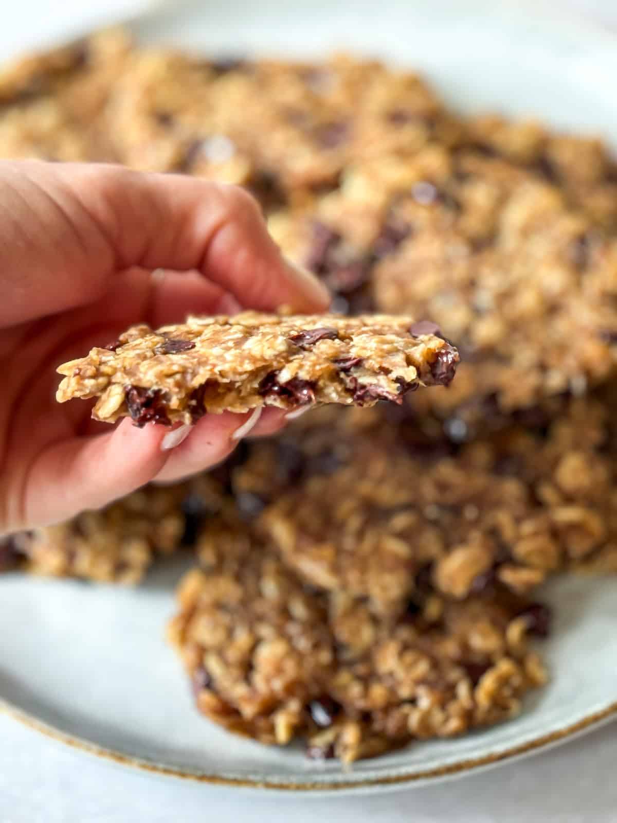 4 Ingredient Banana Oatmeal Cookies (Healthy & Easy) - Mallory the ...